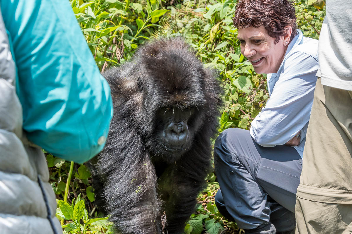 Rwanda Tours - Rwanda Safari Holidays | Encompass Africa