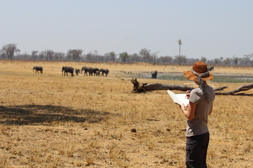 Artist Kate Jenvey - Encompass Africa