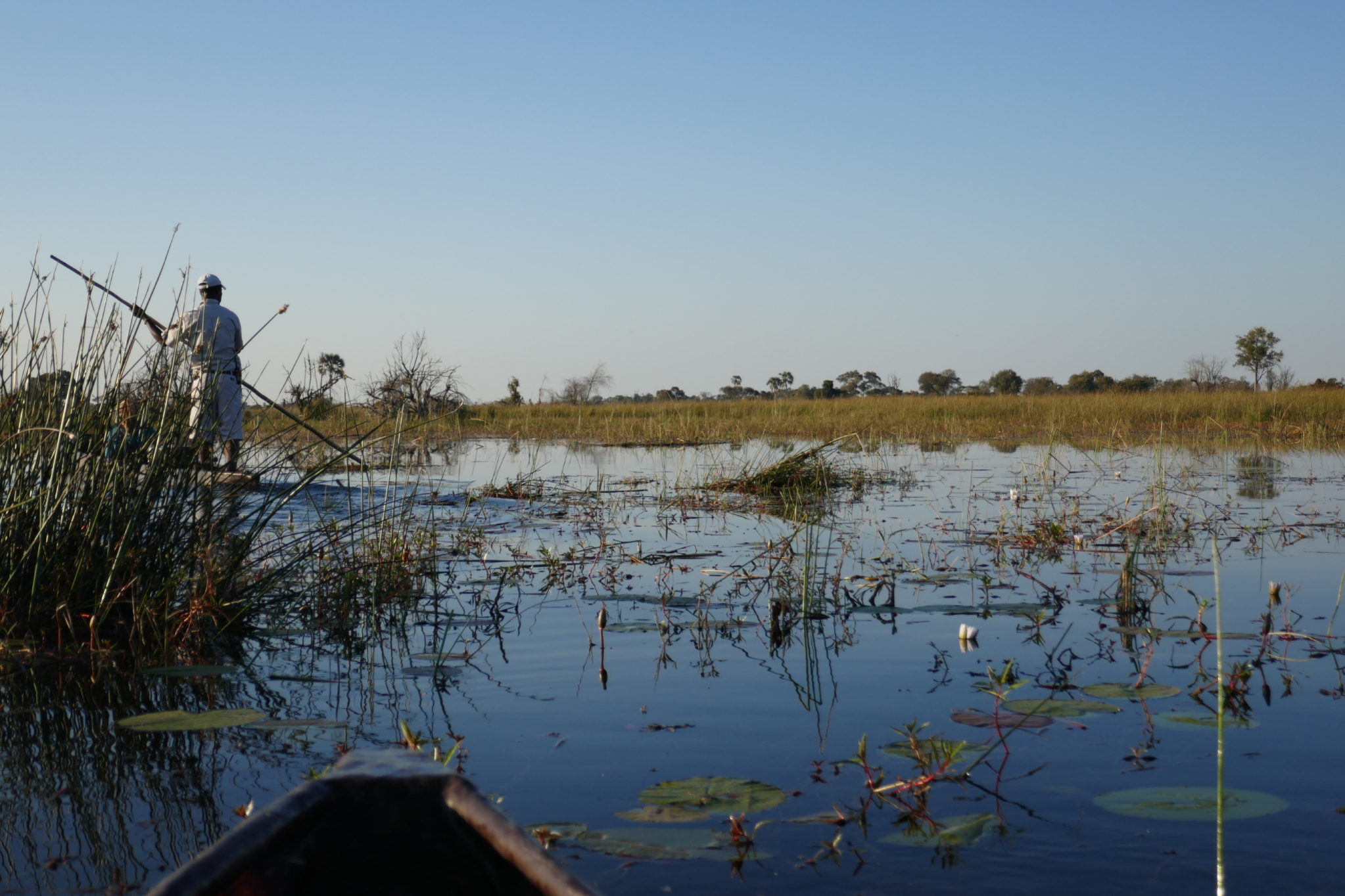 Botswana's Delta - Botswana Explorer Part Two | Encompass Africa