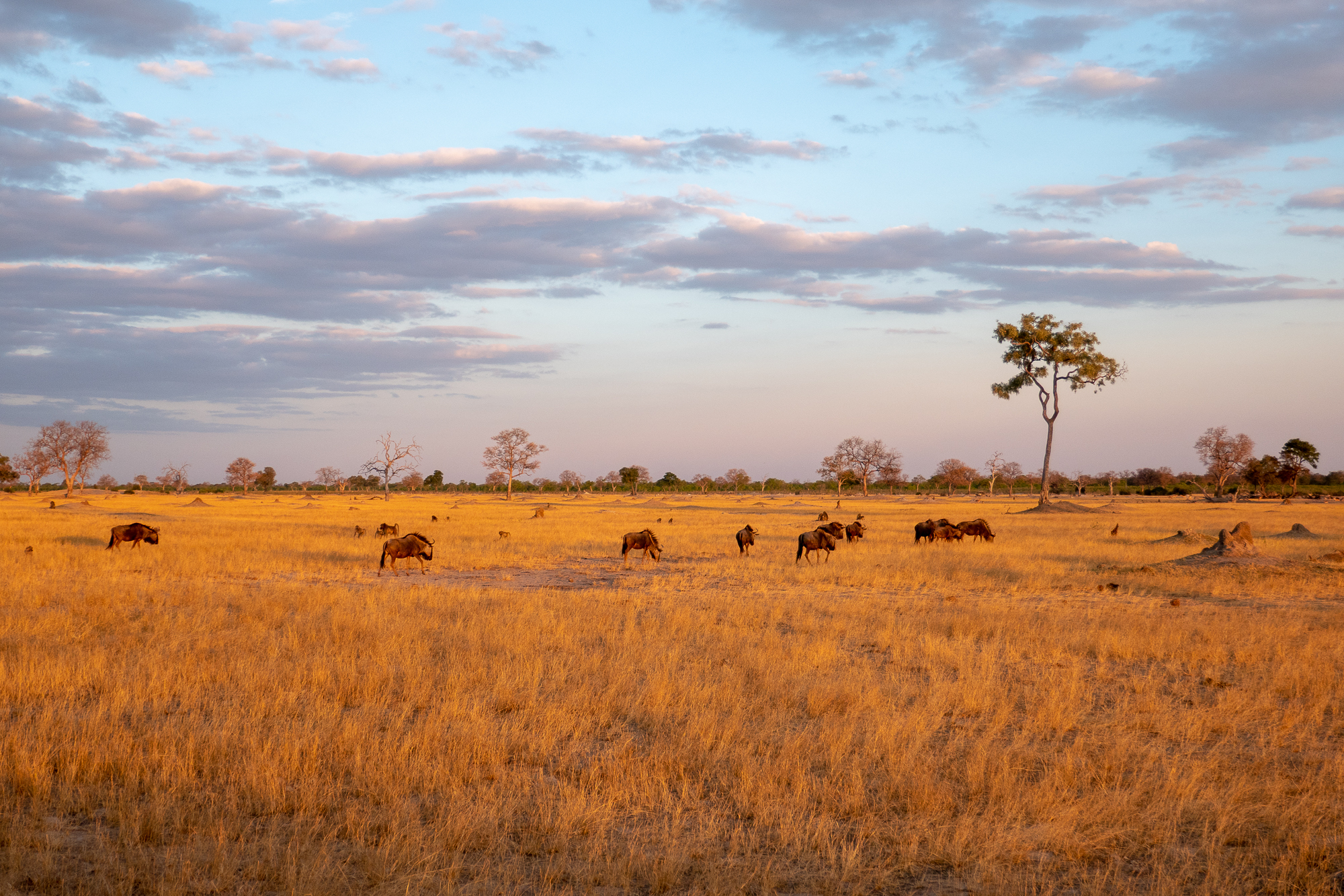 Zimbabwe travel information | Encompass Africa