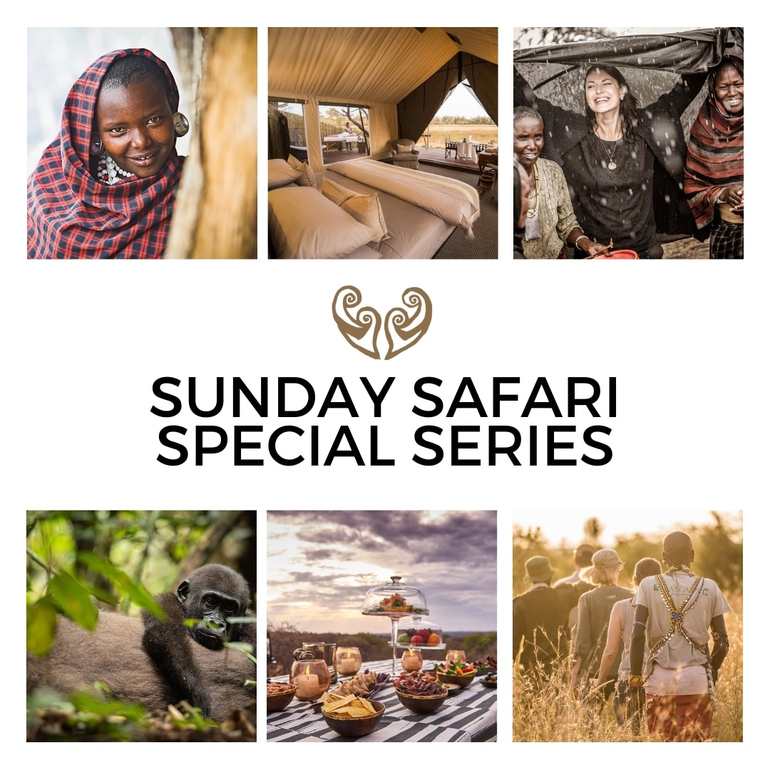 Latest Safari Specials - Encompass Africa